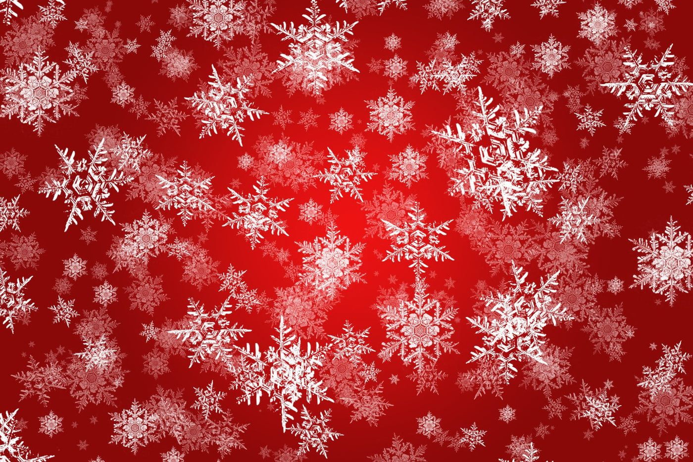Toile de fond Hiver Idées Flocons de Neige Magie Rouge Photographie BR