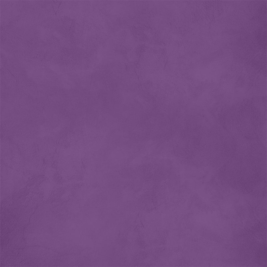 Toile de fond Portrait École Texture Violet Profond GTY3-86