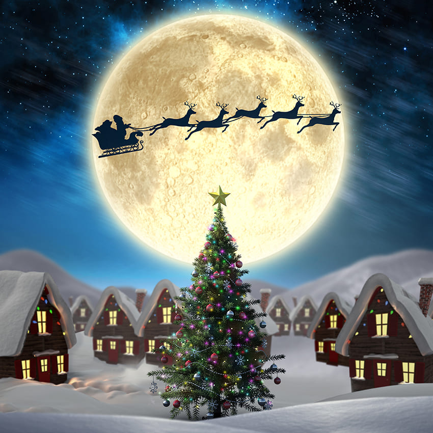 Maison miniature enneigée Elk Santa Xmas Toile de fond D979 – Esthero.fr