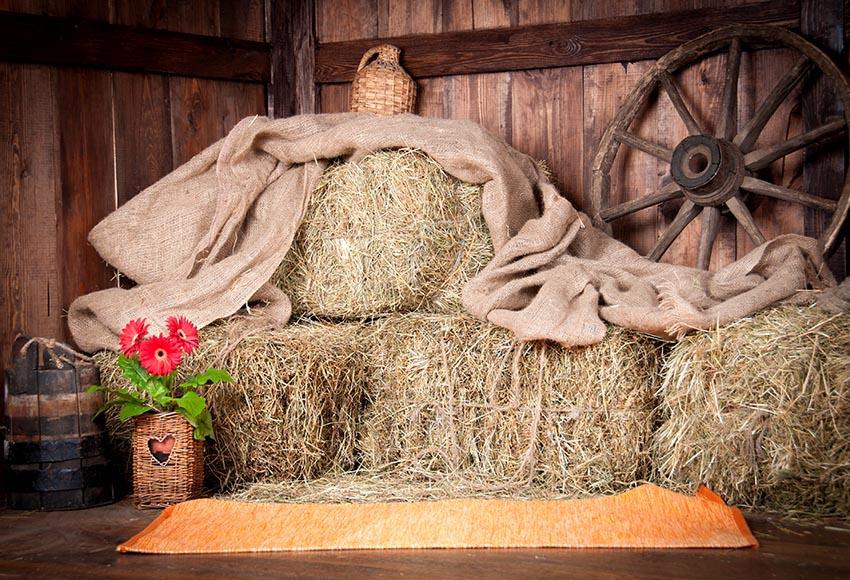 Toile de fond de grange cowboy vintage grange en bois paille retour LV ...